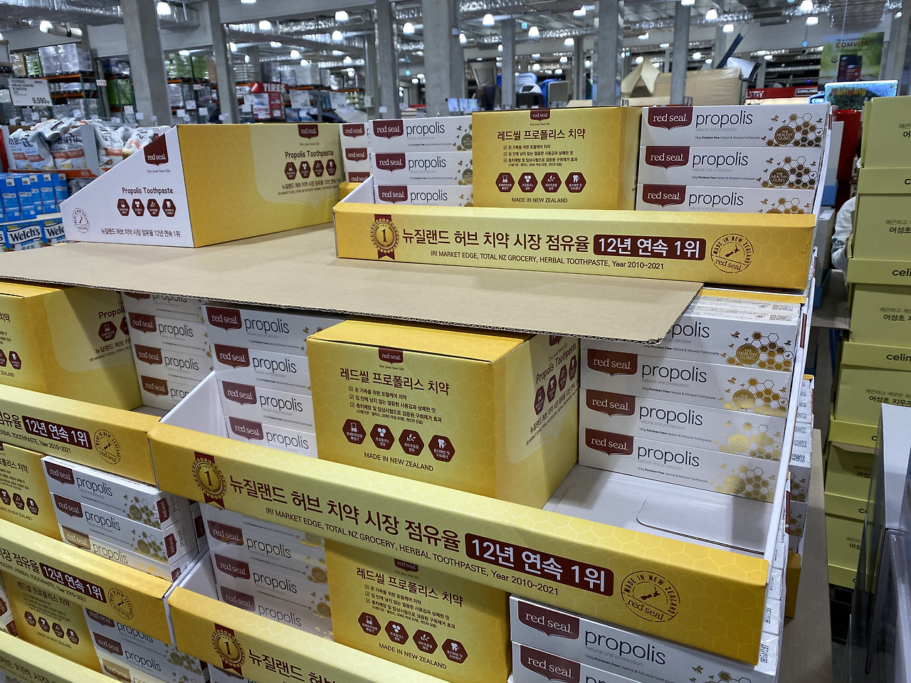 코스트코 Red Seal 레드씰 프로폴리스 치약 후기