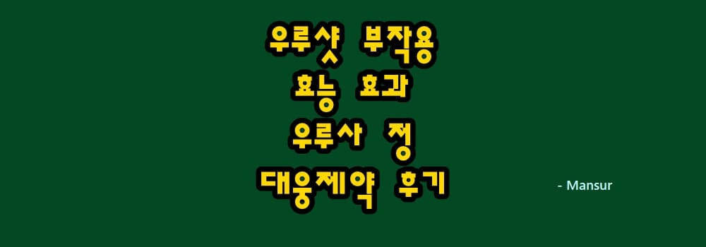 우루샷 부작용 효능 효과 우루사 정 대웅제약 후기는