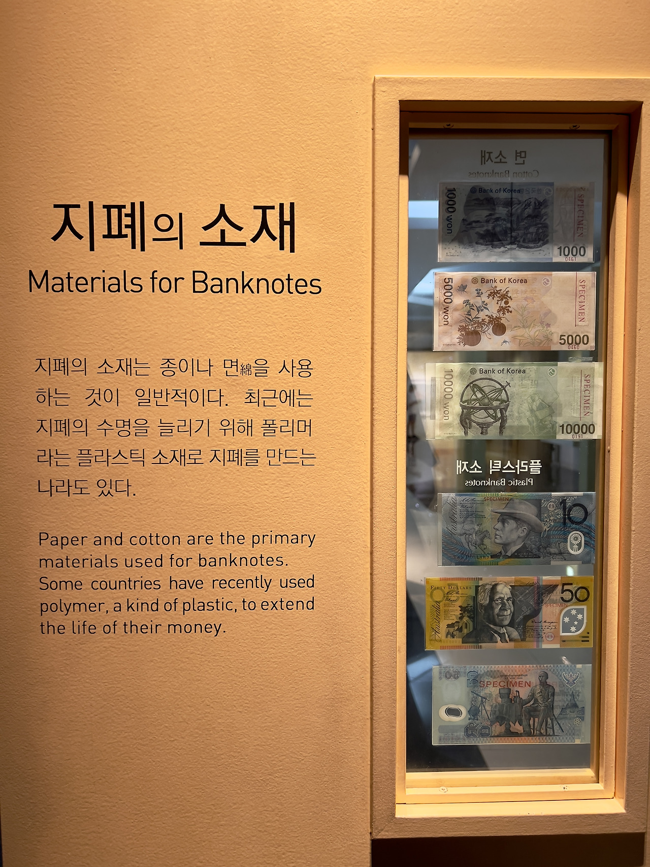 한국은행 화폐박물관 특별편 각종 화폐의 특징 및 세계의 화폐실