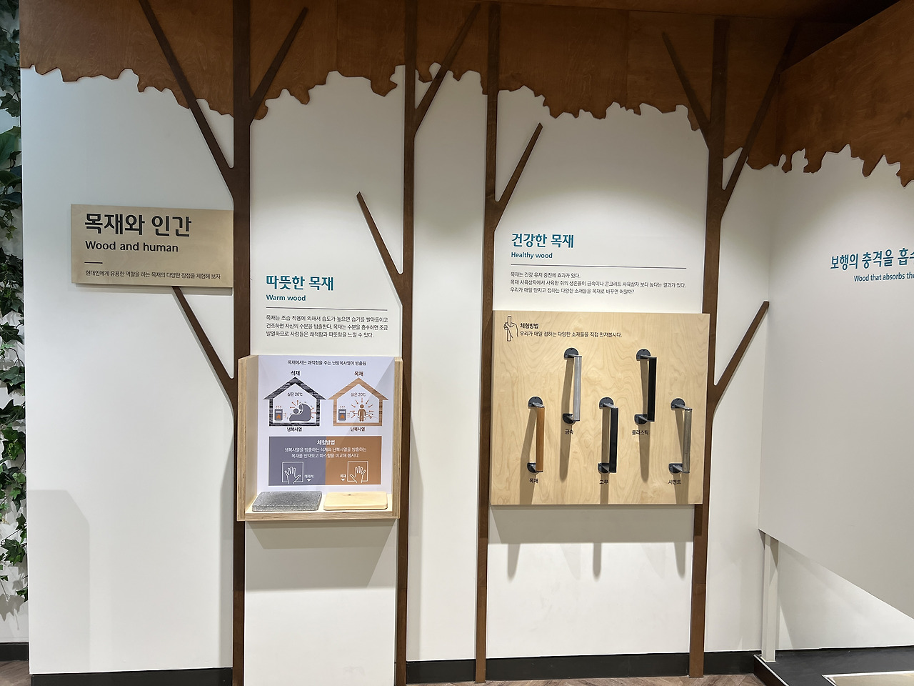 대구 아이와 가볼만한곳 달서목재문화관 종합전시실 테라피체험실