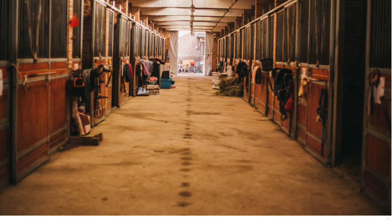 한국마사회 경마정보 홈페이지 (https://race.kra.co.kr) 바로가기