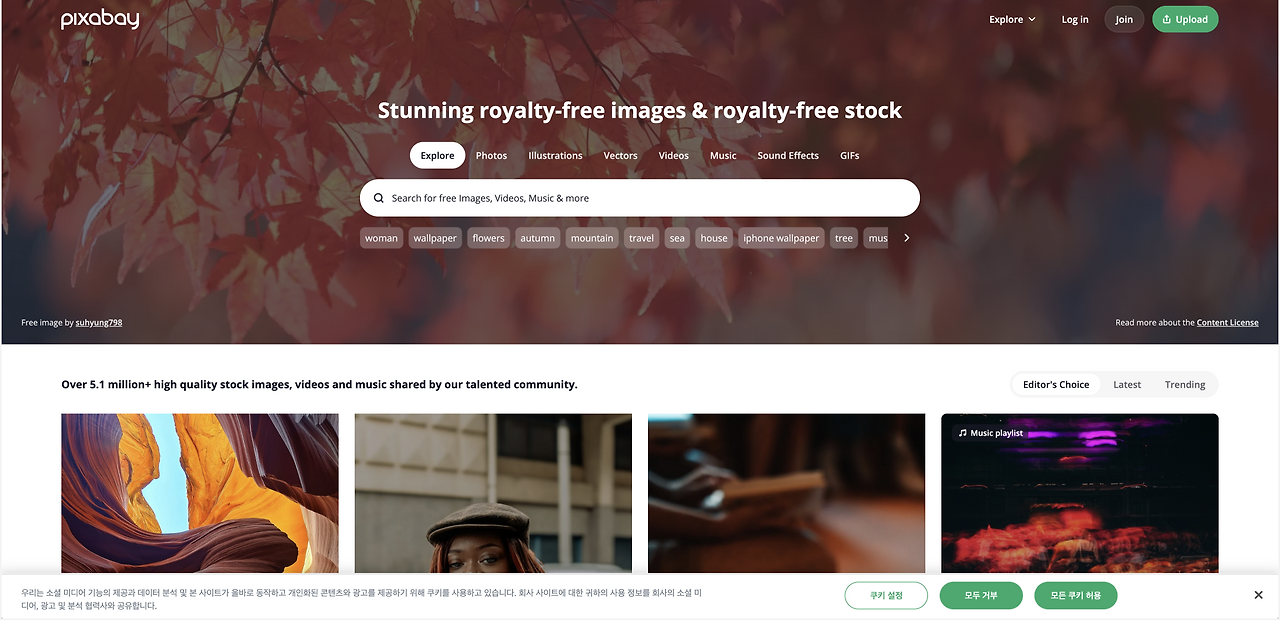 무료이미지, 저작권 없는 스톡 이미지 웹사이트 추천 3탄 - pixabay