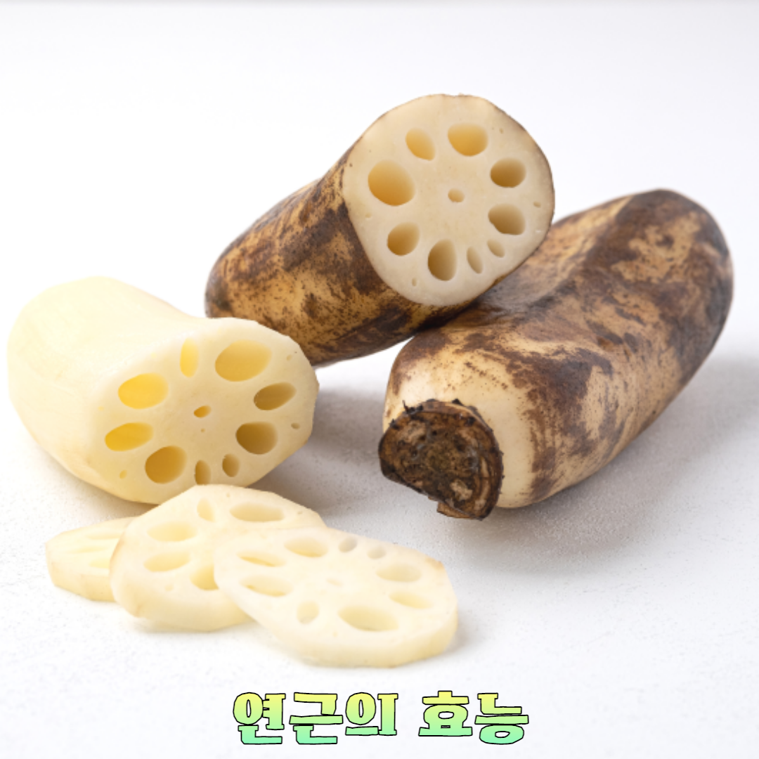 연근의 효능 영양성분 고르는법 부작용