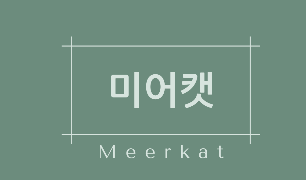 미어캣meerkat특징서식지종류천적수명몸무게꿈해몽