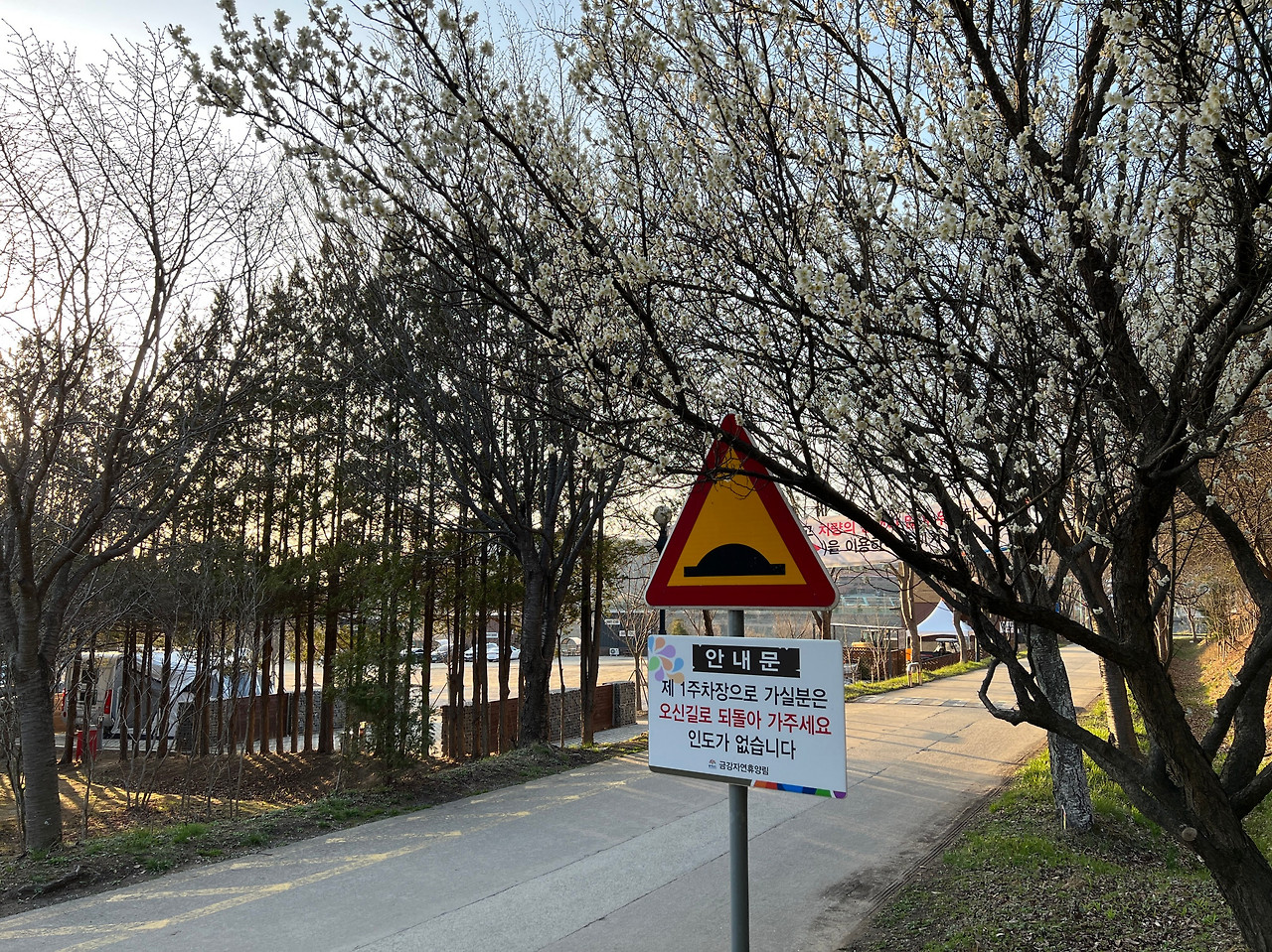 세종시 대전 근처 캠핑장 금강자연휴양림야영장 후기 대전근교 캠핑장 갈 만한 곳 아이들 놀이터 있는 캠핑장