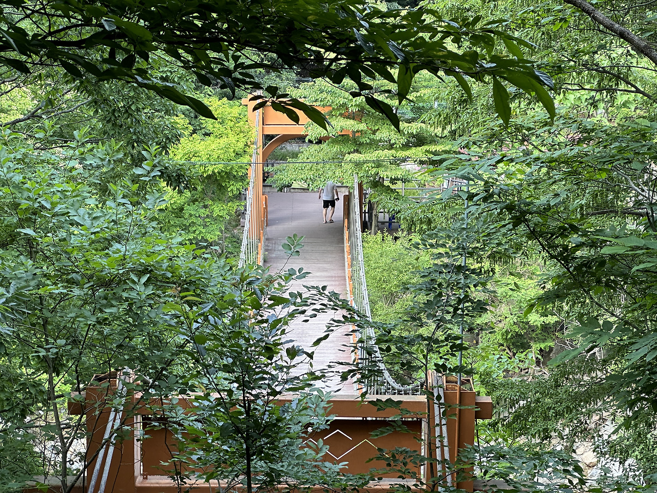 울산 배내골 펜션 철구소 평상이 있는 계곡 추천 이치방 하우스 네이트뷰