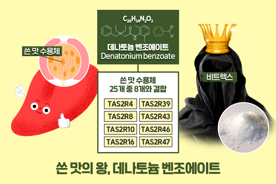 어린이를 위한 세상에서 가장 쓴 맛