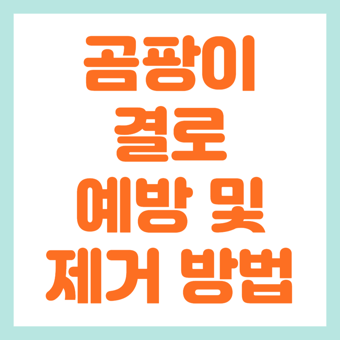 겨울철 곰팡이·결로 예방 및 제거 방법 알아보기