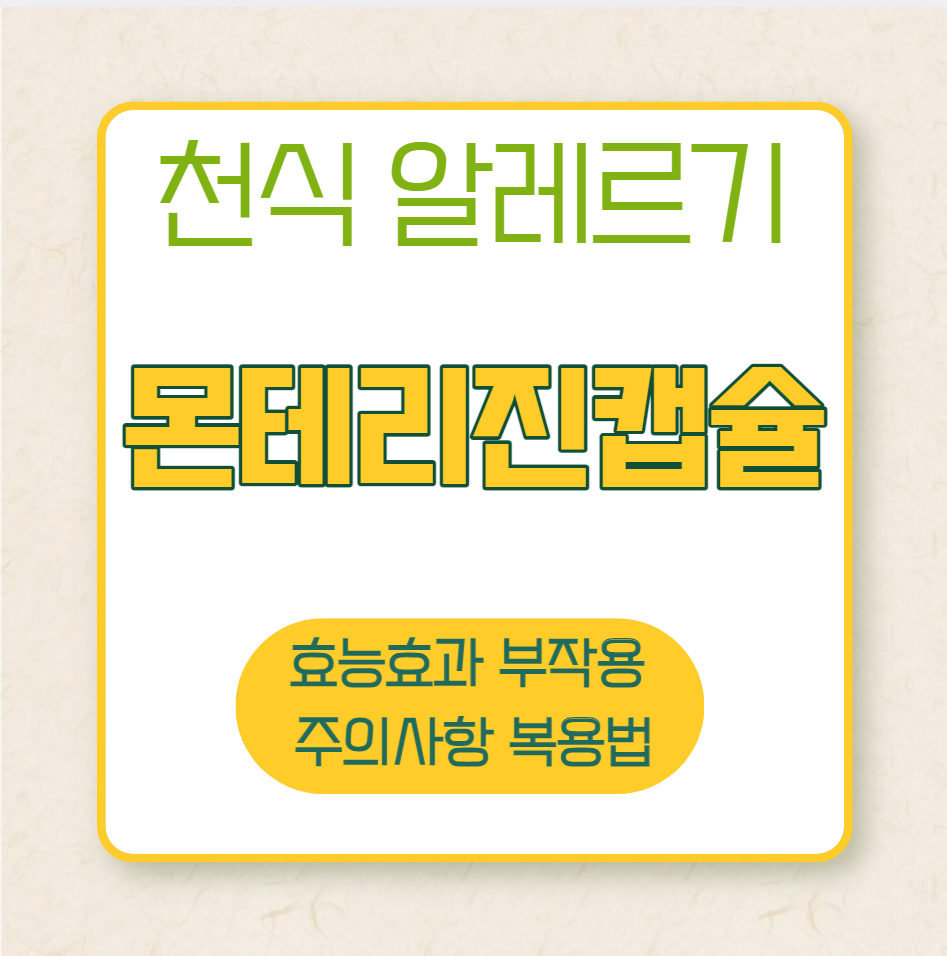 몬테리진캡슐 몬테리진츄정 부작용 효능 효과 주의사항 복용법 천식치료