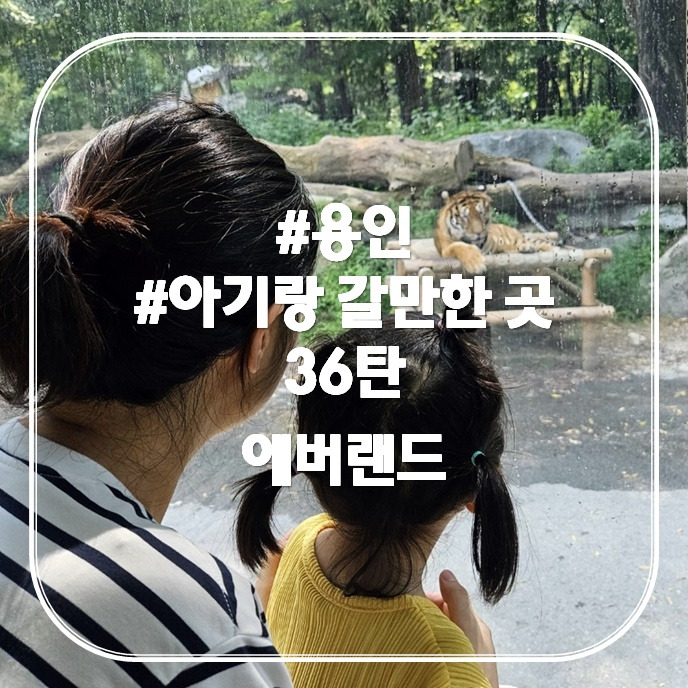 에버랜드 아기랑 사파리 로스트밸리 꿀팁 추천 용인 아기랑 갈만한 곳