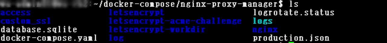 단비의 대나무밭 :: NPM(Nginx Proxy Manager) 쉽게 설치하기