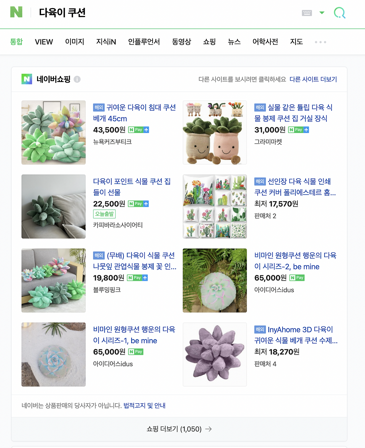다육식물 재배를 위한 가이드 팁 요령 등