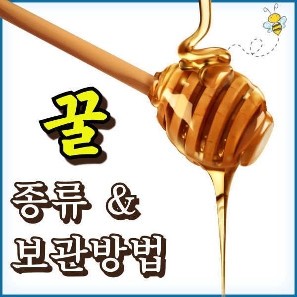 냉장보관 가능 꿀 유통기한 및 보관방법 종류별 차이점 사양벌꿀 천연꿀