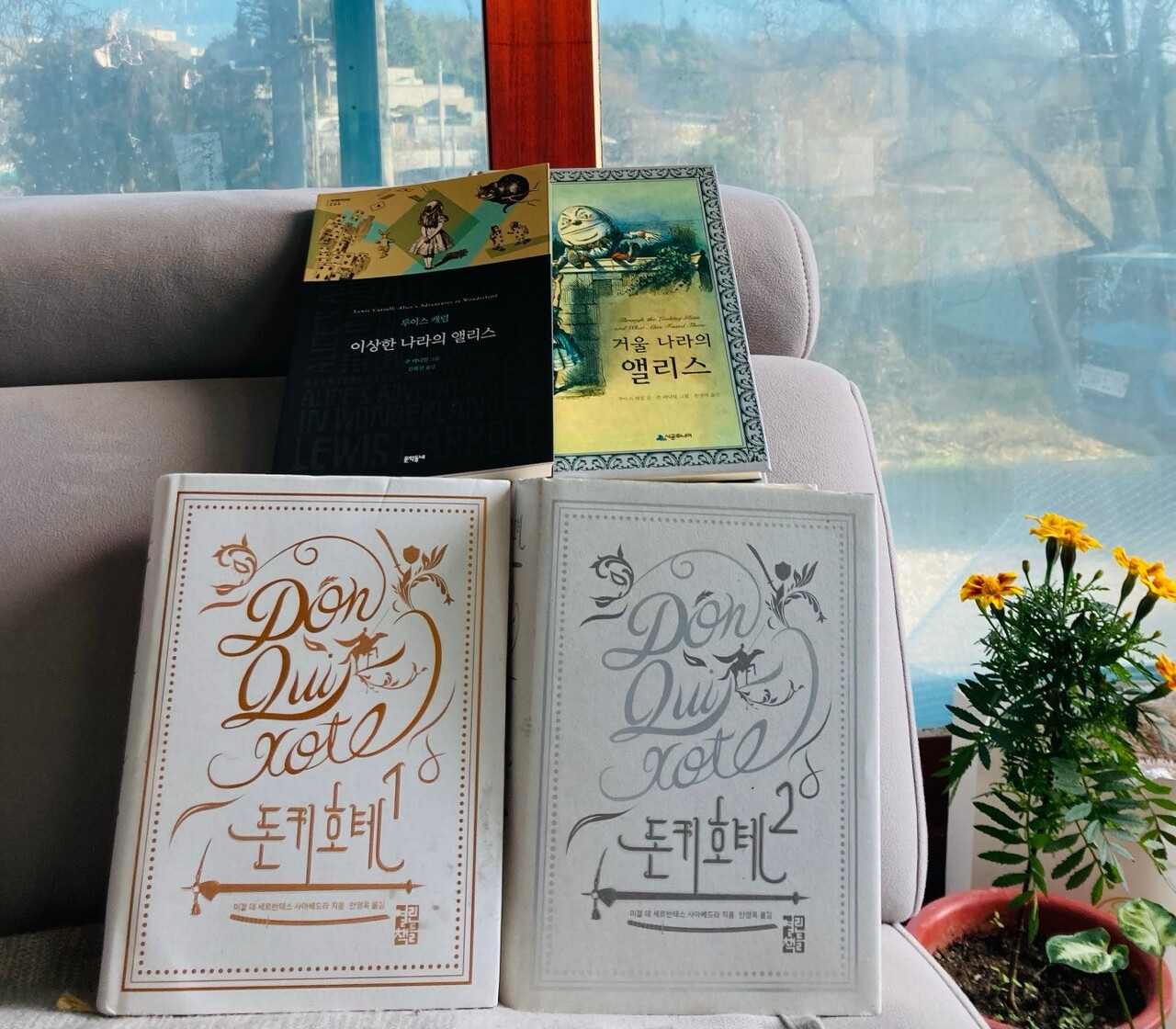 모집 이상한 나라의 앨리스와 돈키호테 읽기1226~