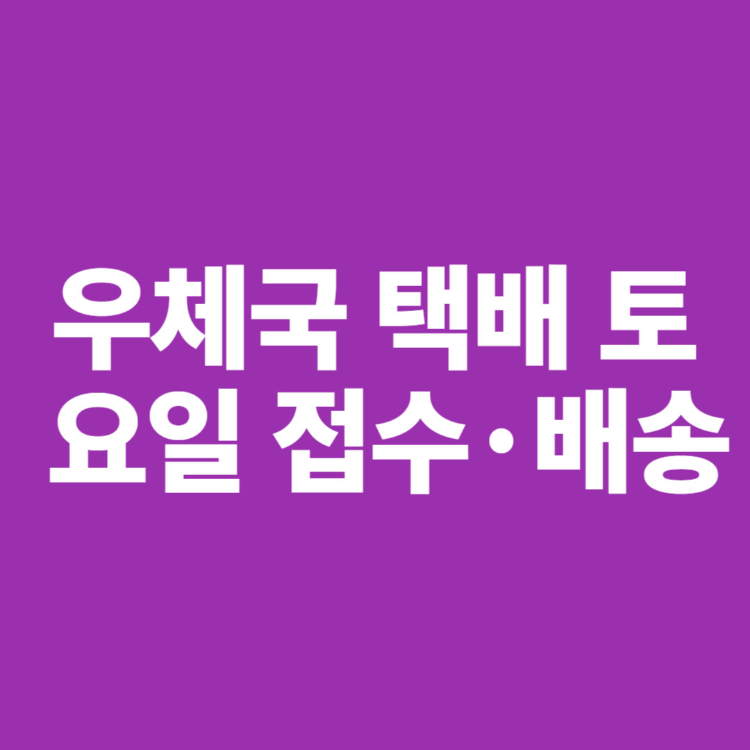 우체국 택배 토요일 접수·배송 가능할까 주말 일정 총정리