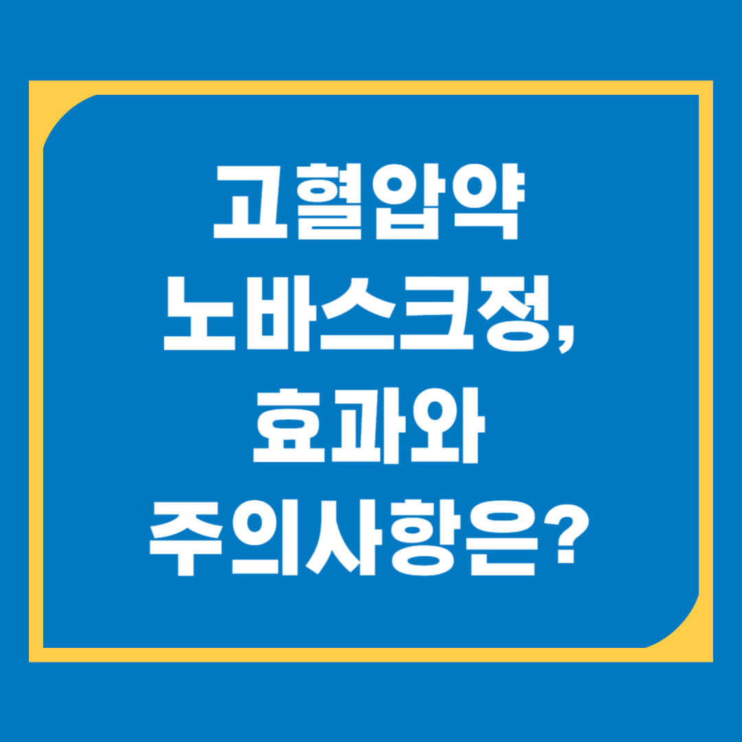 노바스크정 5mg 효능 복용법 주의사항 및 실제 효과는 나를 위한 안내서