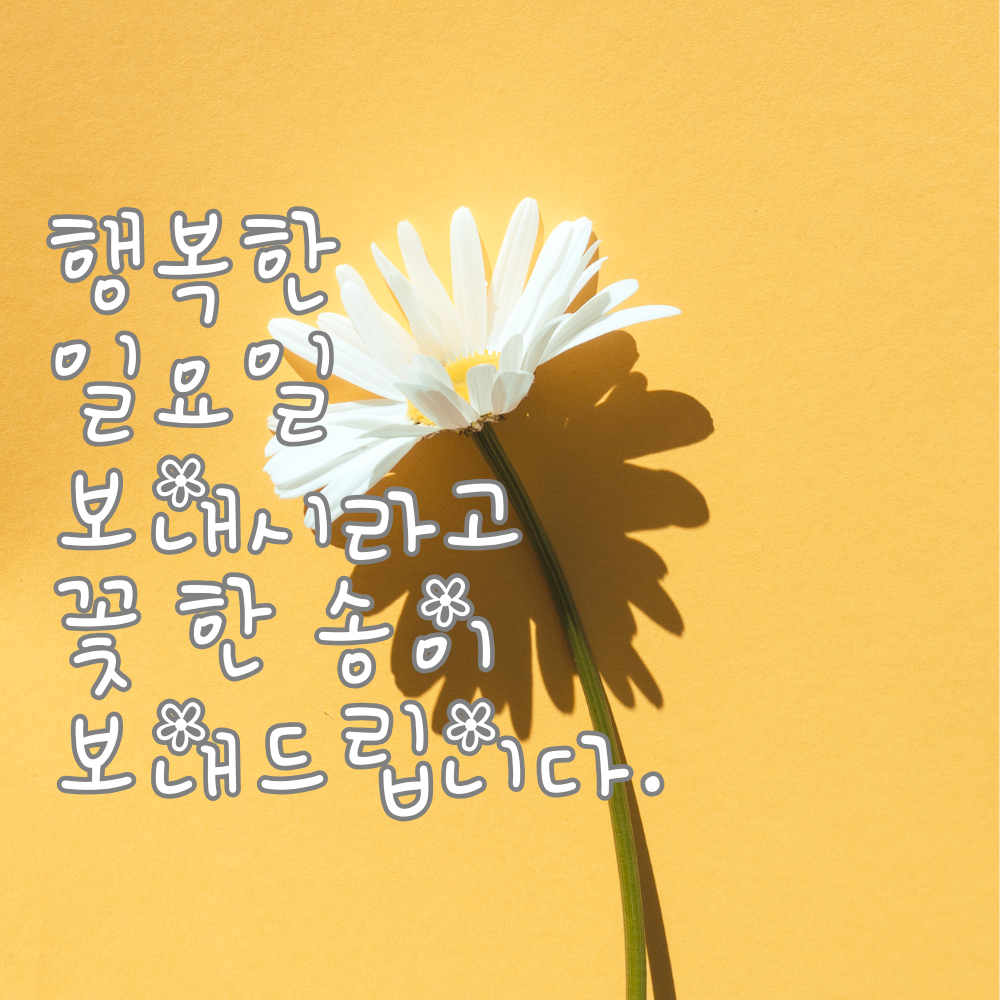 일요일 아침 인사말 문구 이미지 모음