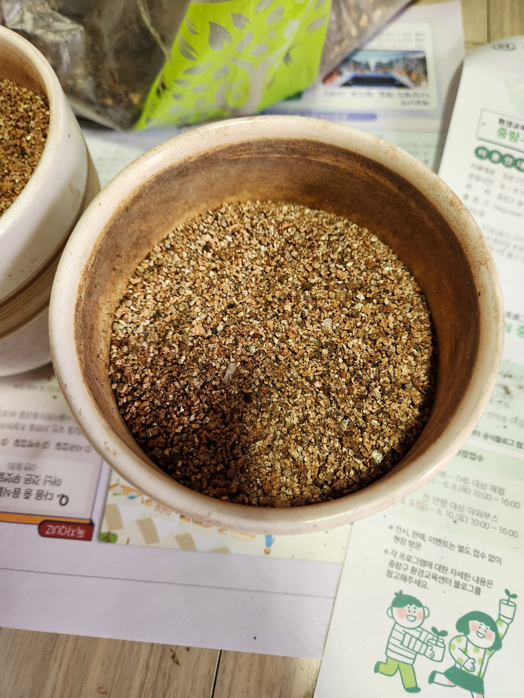 라일락 꽃말 봄에 피는 꽃나무 삽목 시기 삽목 방법 삽목 후 관리와 방법까지 완벽 정리 꿀 팁