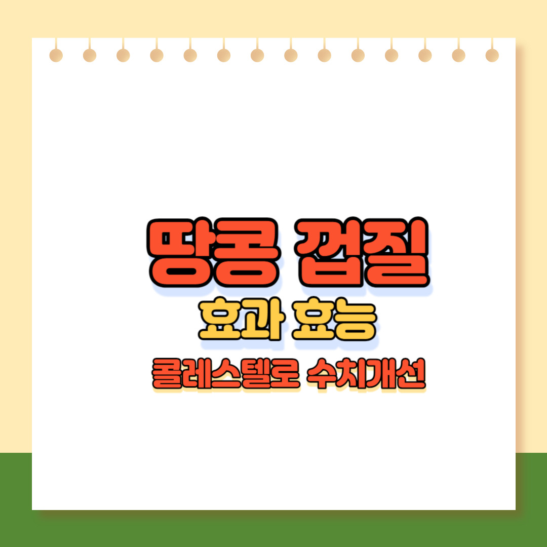 땅콩 껍질 효과 효능 콜레스테롤 수치 개선 간단한 요리법 3가지