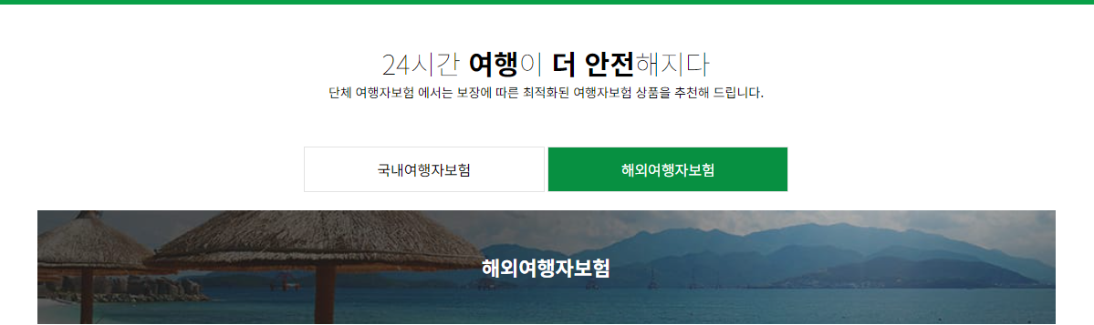 여행자보험 추천 트래블로버 여행자보험 단체 여행자보험 해외여행 여행자보험