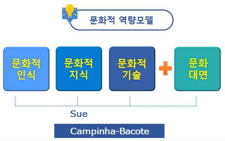문화적 역량의 이해