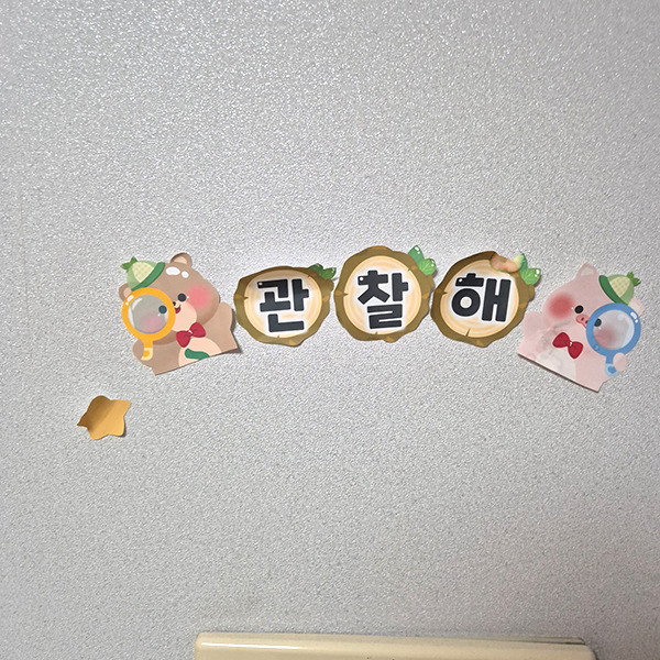 관찰영역 관찰해보아요 도안 잘이가준비했지