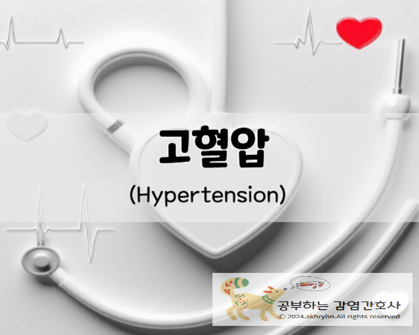 성인 간호고혈압hypertension 간호 진단 중재 과정