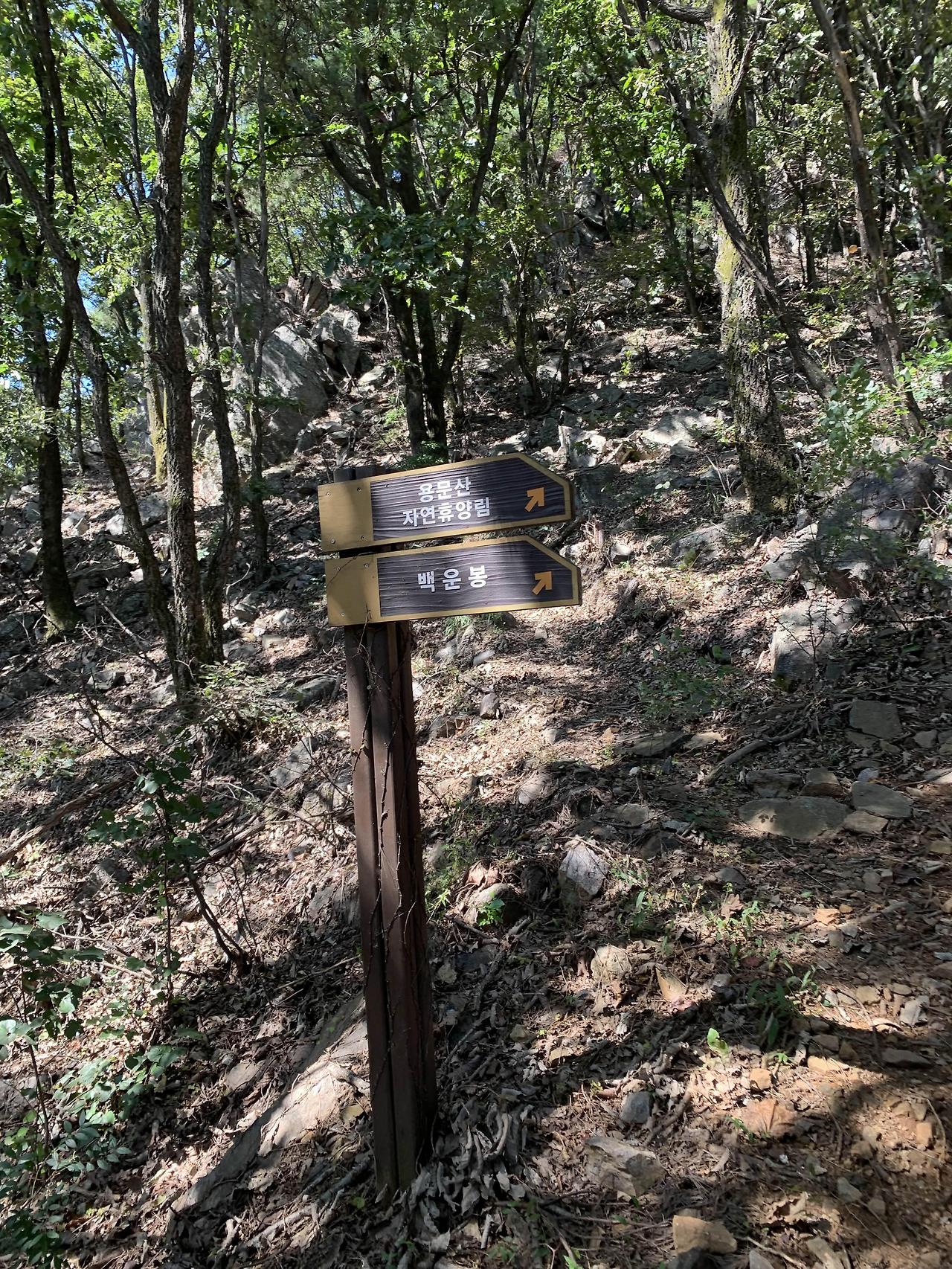 용문산 수도권 등산코스 백운봉 양평 쉬자파크