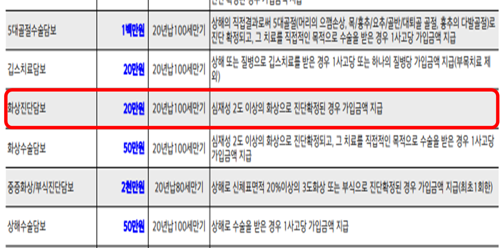 심재성 2도 화상 진단금 받는 방법 꿀팁 신청 및 서류