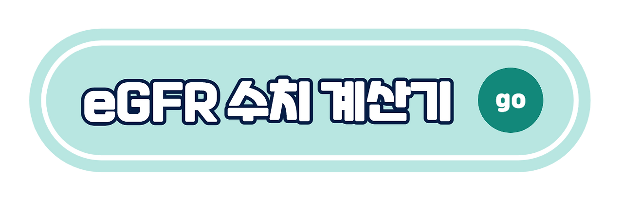 신장기능평가 사구체 여과율 Egfr 수치 계산방법과 정상 범위