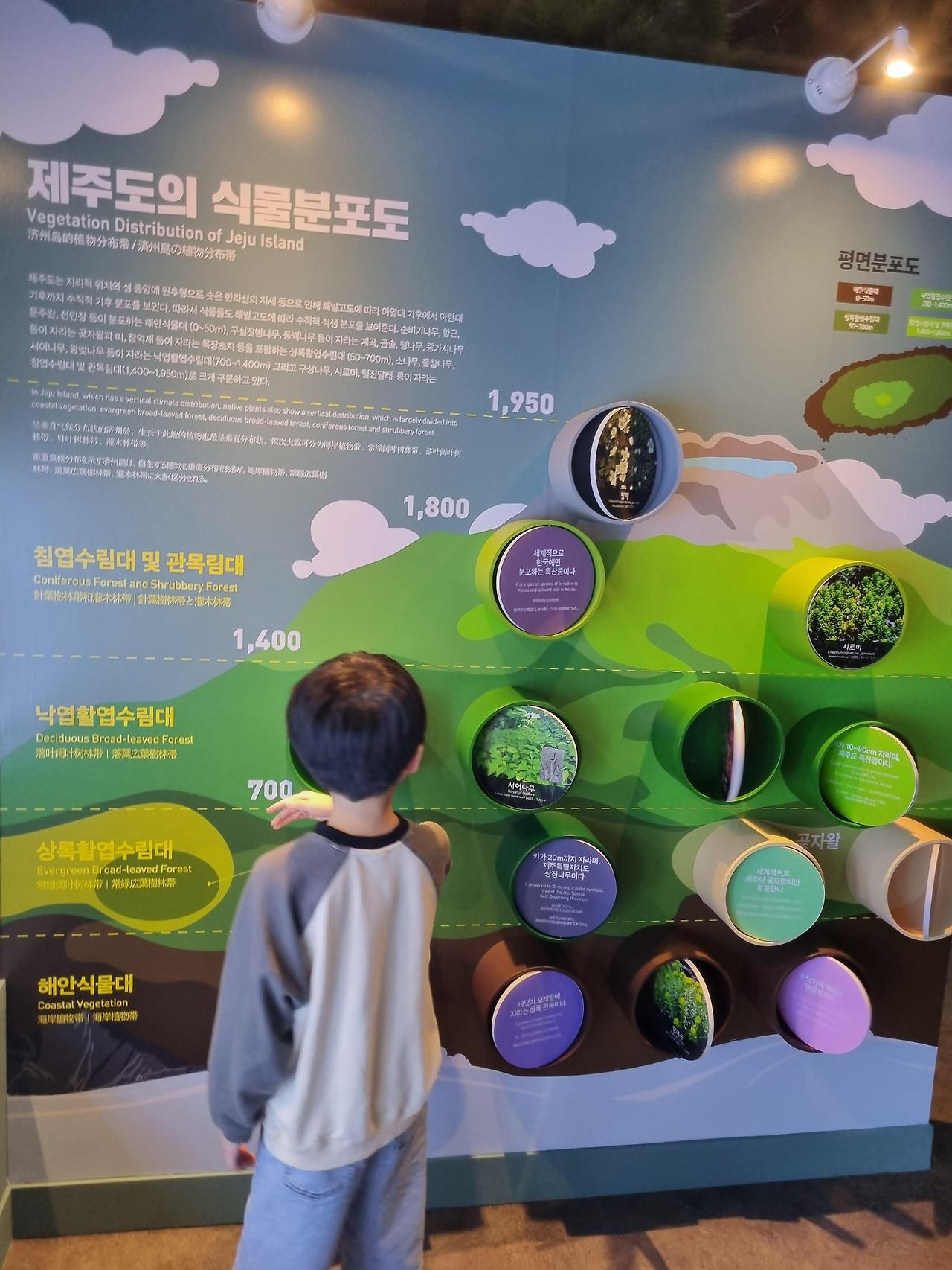 제주도 박물관 제주민속자연사박물관 아이들과 가볼만한 제주 실내 박물관