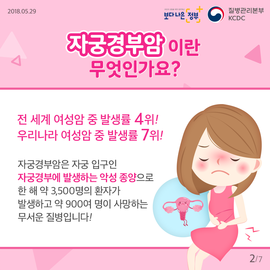 자궁경부암 예방접종 무료대상 자궁경부암 정의원인가격