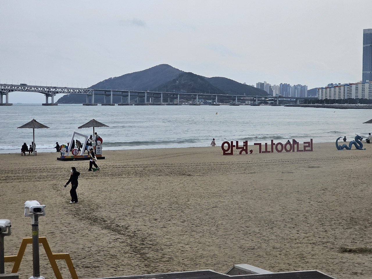 부산시티투어 노선 예약 이용방법 요금 시간표2024년 3월 기준