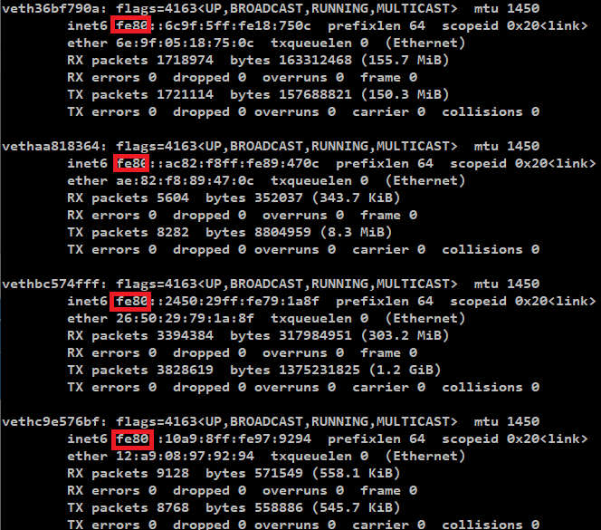 IPv6 링크 로컬 주소 ( Link Local Address)