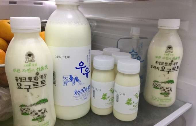겨드랑이 밑에 레몬을 문지르는 숙취해소법 나라별 특이한 해장음식