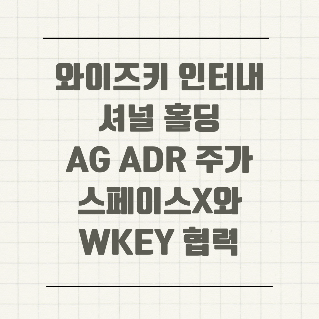 와이즈키 인터내셔널 홀딩 AG ADR 주가 스페이스X와 WKEY 협력 양자컴퓨팅과 IoT 보안 핵심
