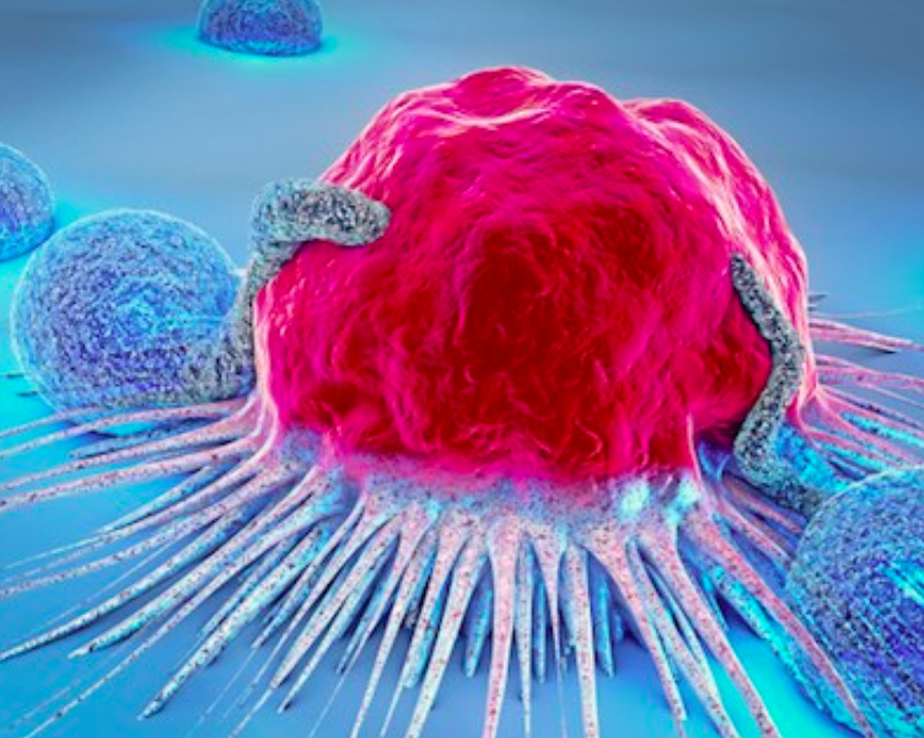 IN8BIO(인8바이오) 기업분석 및 기업정보 알아보기 - 버거형파헤치기