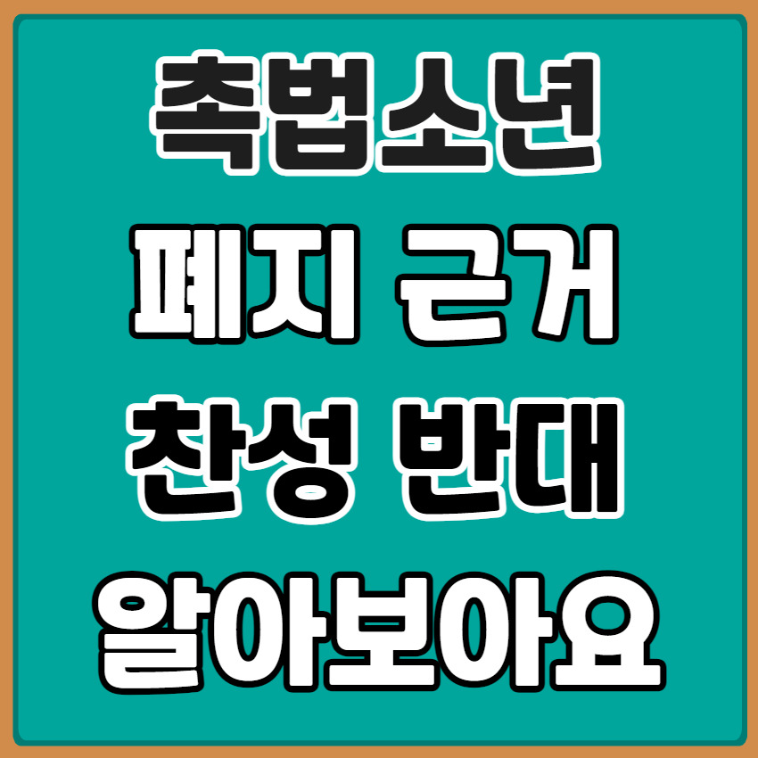 촉법소년법 폐지 찬성 반대 근거 이유