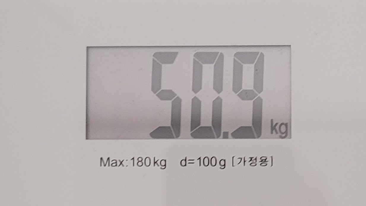 바나나 다이어트 체중 변화 후기 석양이가득한세상