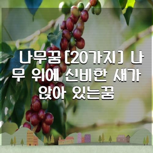 나무꿈 20가지 나무 위에 신비한 새가 앉아 있는꿈