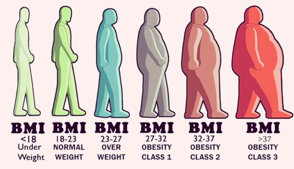 Bmi 계산하기 비만인가 100 체질량 지수 이해하기 — Mbm스토리