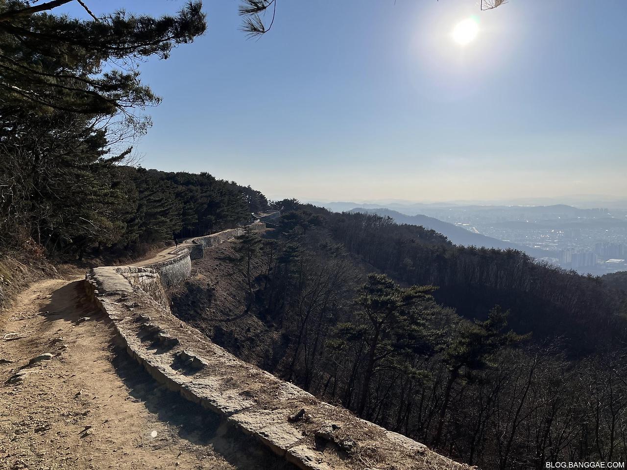 청주 상당산성 자연휴양림 숲속의집 아까시나무와 상당산성 등산로