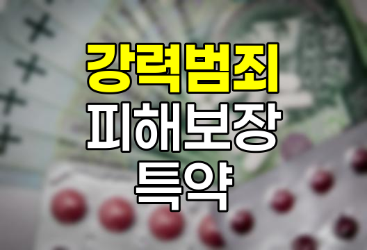 강력범죄피해보장 특약의 핵심 내용과 보상 체계 메모리유