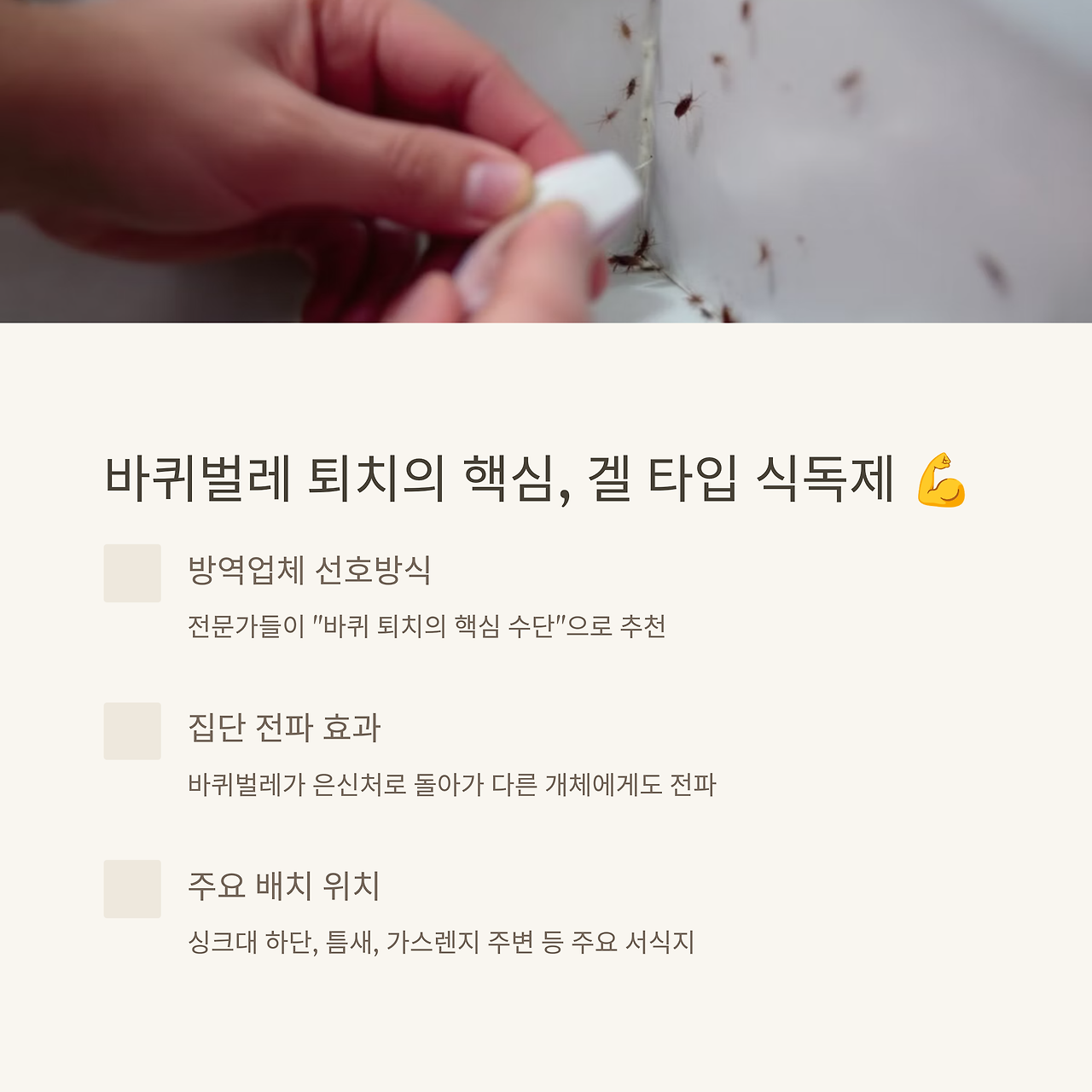 바퀴벌레 퇴치방법 총정리