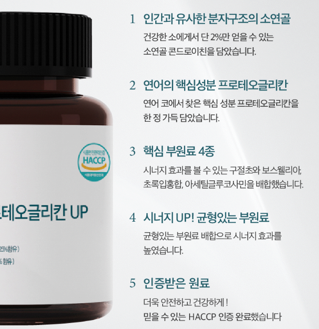 시크리터 콘드로이친 효능 복용법 내돈내산 후기 프로테오글리칸 소연골성분 박학다식