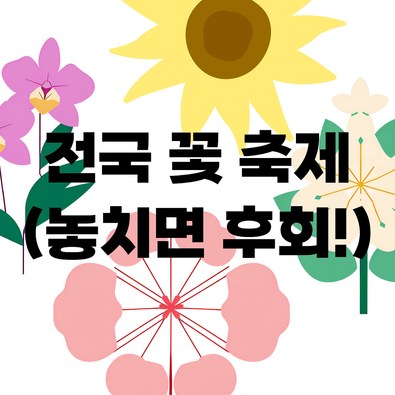 2025 무안 연꽃축제 일정 기본정보