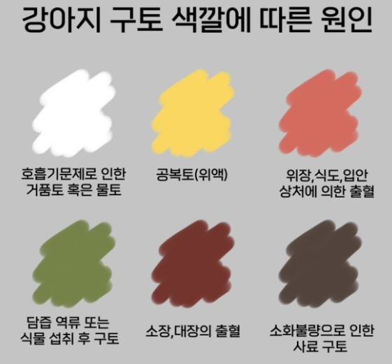 강아지 구토 원인 및 색깔 설사 멈추는 방법 과식 구토 강아지 공복토