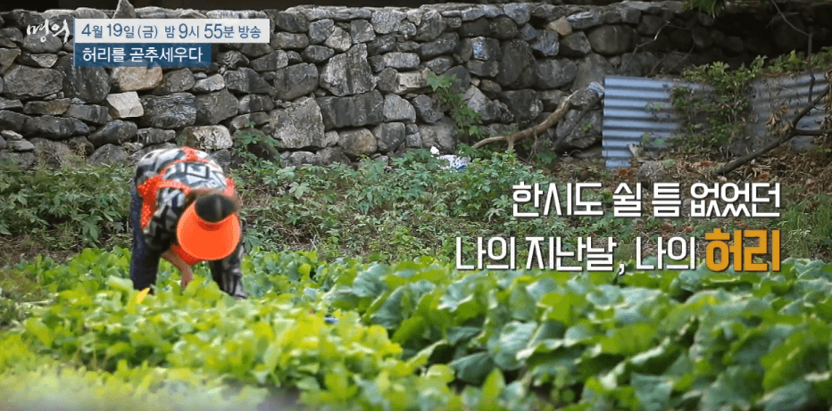 Ebs 명의 허리를 곧추세우다 척추관 협착증과 정형외과 김용찬 교수님