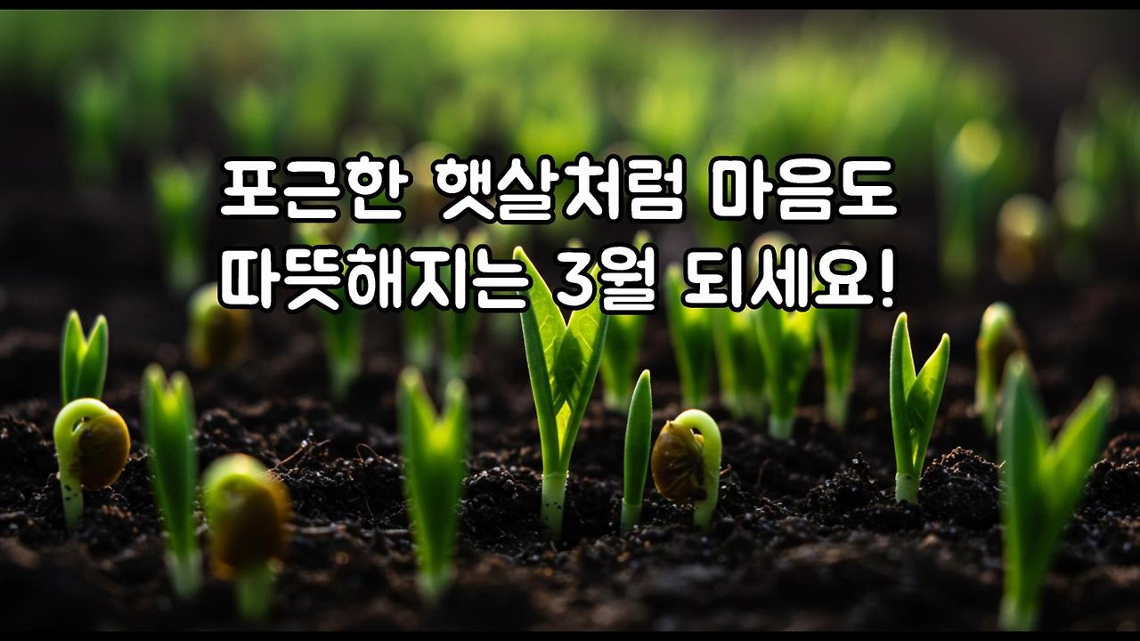 3월 따뜻한 봄 인사말 모음 희망 가득한 3월 카톡·밴드·문자 인사말 추천 봄맞이 인사말 30개 모음 3월에 전하기 좋은