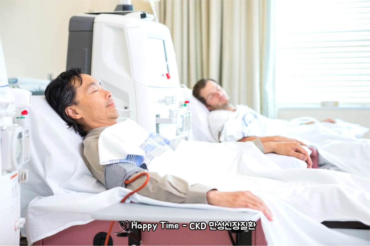 만성 신장 질환 Ckd 원인과 증상 치료방법에 대해 알아보자